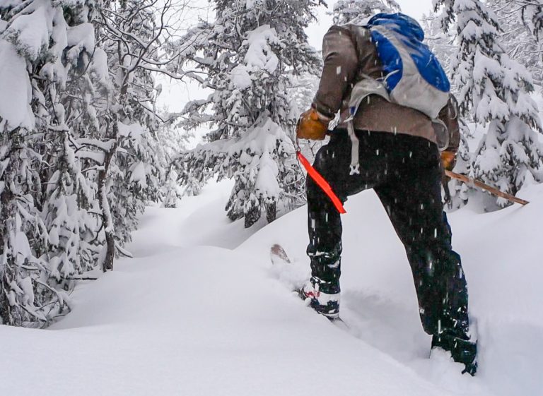 Alpina Alaska 75mm (3 pin) boots | Altai Skis - US store